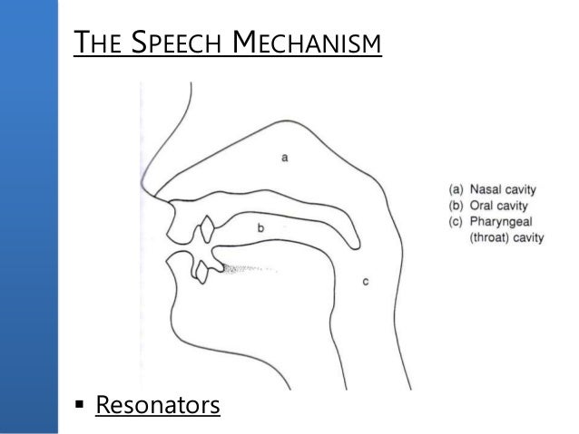 Effective speech and oral communication