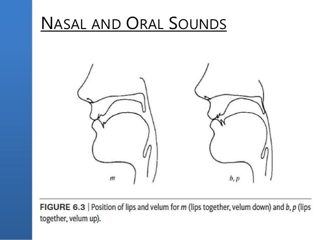 Effective speech and oral communication