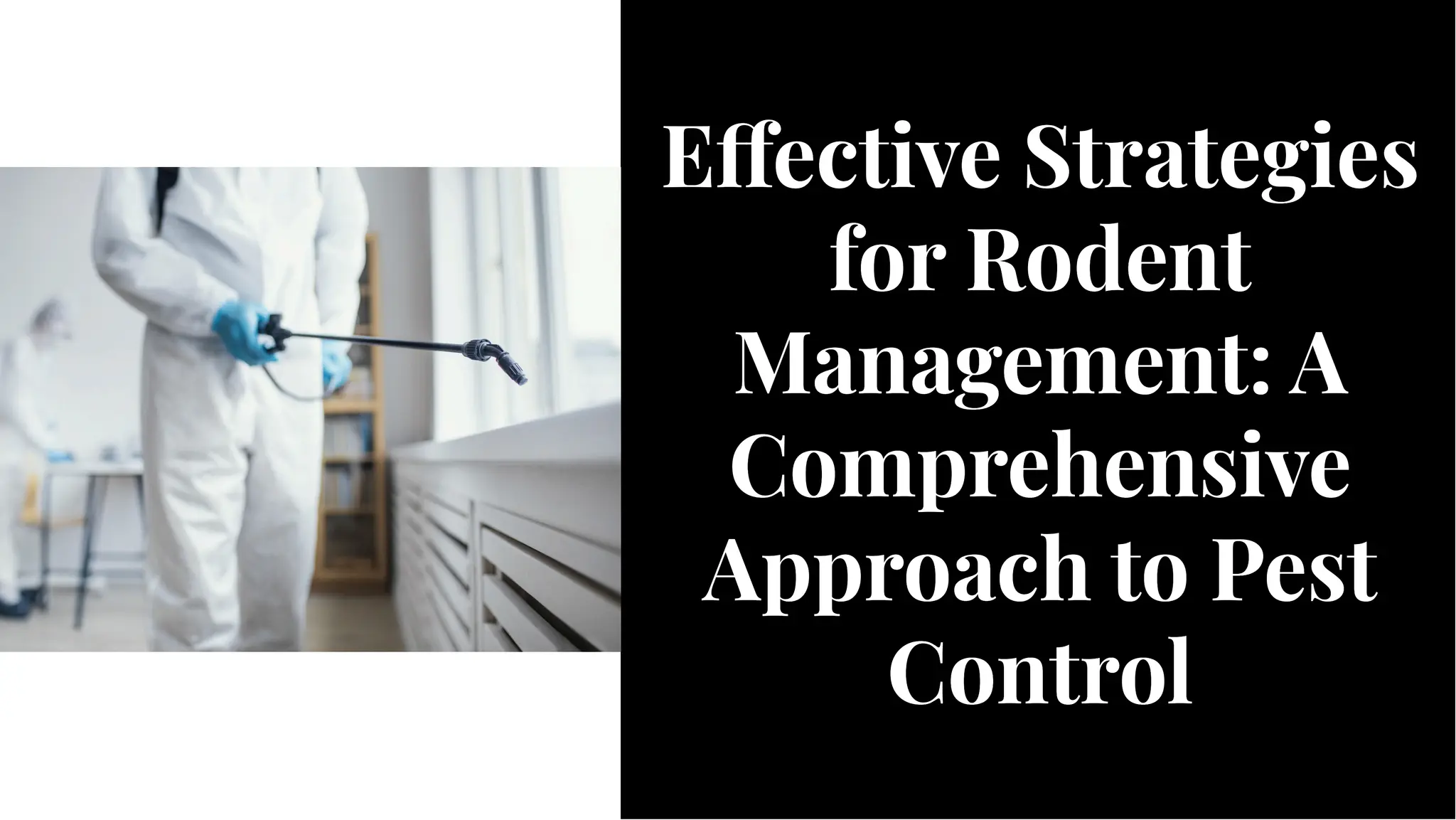 Effective Strategies for Rodent Management: A Comprehensive Approach to ...
