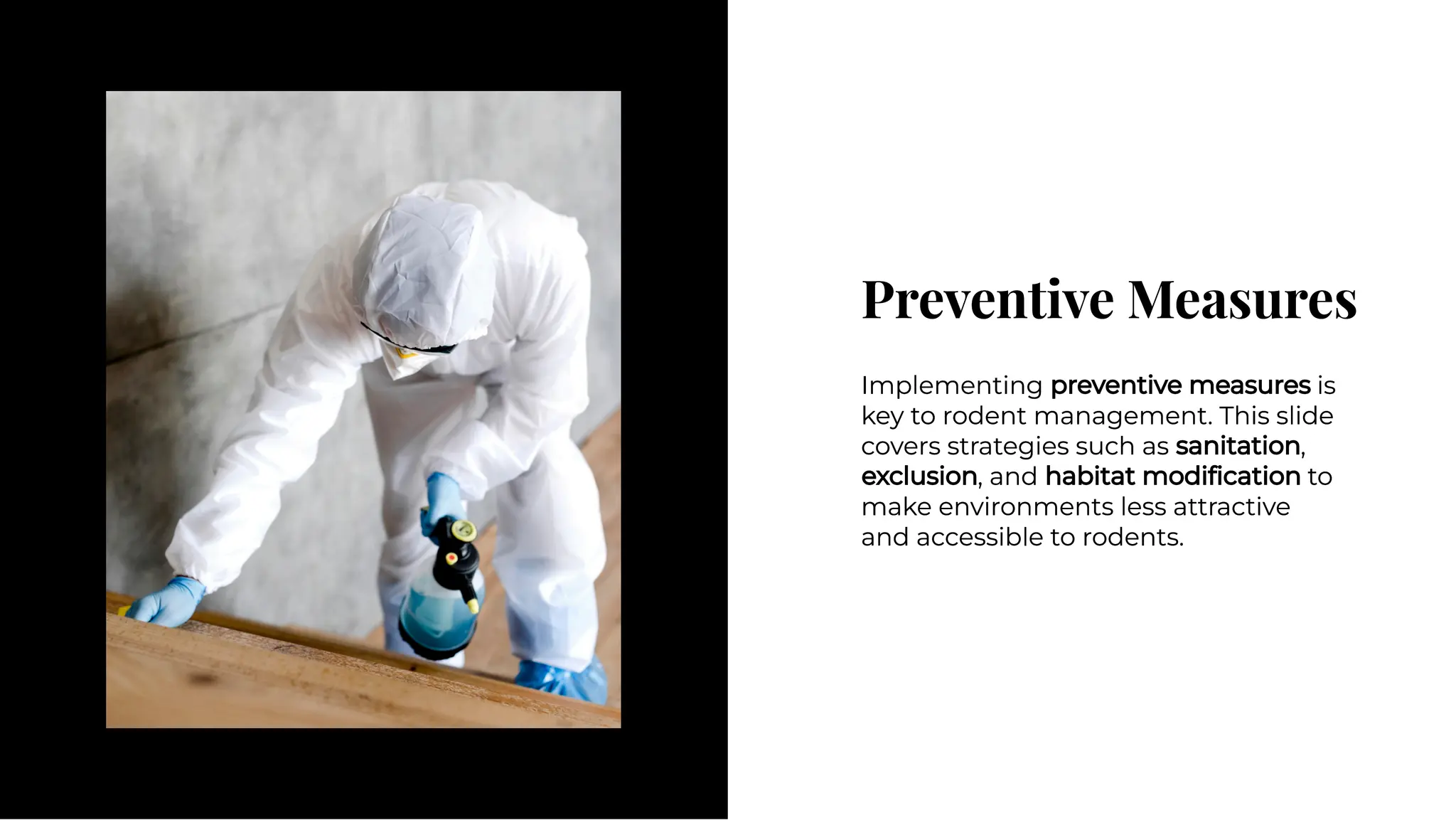 Effective Strategies for Rodent Management: A Comprehensive Approach to ...