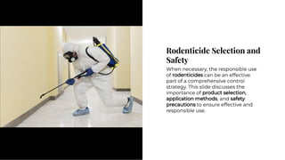 Effective Strategies for Rodent Management: A Comprehensive Approach to ...