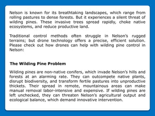 Effective Strategies to Control the Spread of Wilding Pines in Nelson.pptx