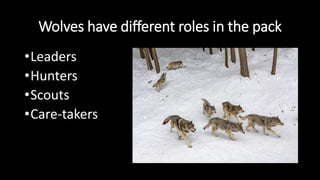 Effective teamwork | PPTX | Polar Travel | Travel Locations