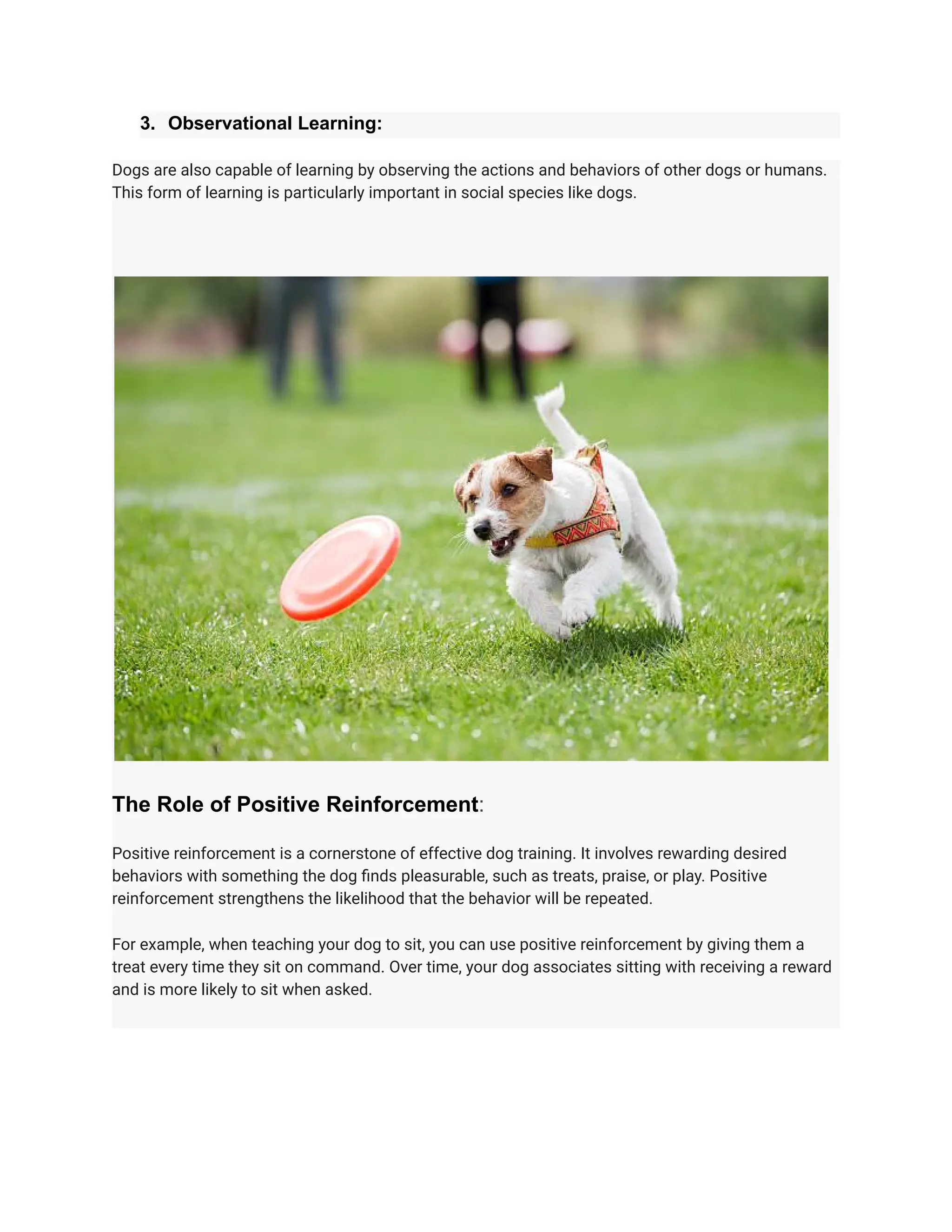 Dog Training Ultimate step by step guide | PDF | Dogs | Pets