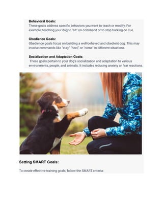 Dog Training Ultimate step by step guide | PDF | Dogs | Pets