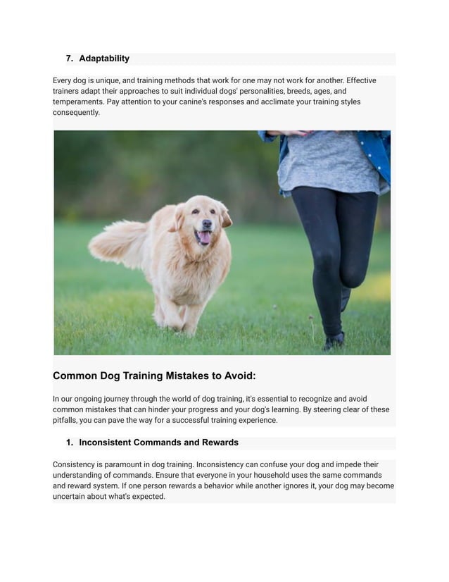 Dog Training Ultimate step by step guide | PDF | Dogs | Pets