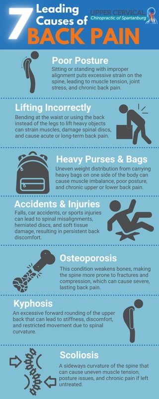 Seven leading causes of back pain in adults | PDF
