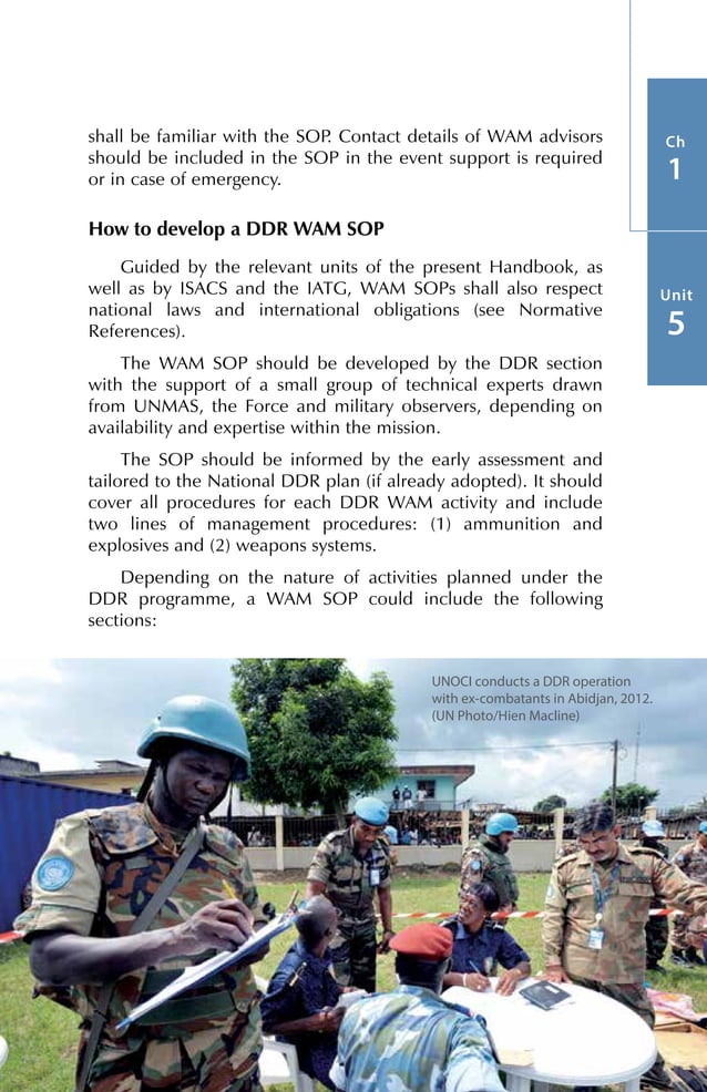 Effective weapons and ammunition management ddr handbook i | PDF | Arms ...