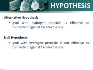 Effectivity of lysol with hydrogen peroxide | PPTX