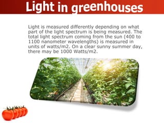 Effect light in greenhouse.pptx