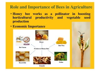 Effect of Climate Change on Bees & Mitigation .pdf