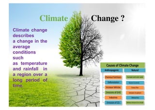 Effect of Climate Change on Bees & Mitigation .pdf