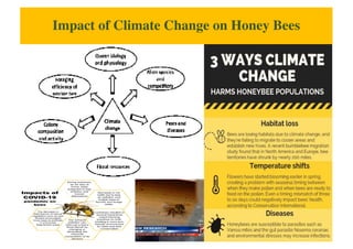 Effect of Climate Change on Bees & Mitigation .pdf