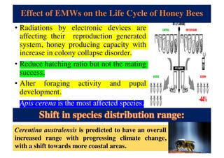 Effect of Climate Change on Bees & Mitigation .pdf