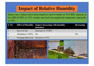 Effect of Climate Change on Bees & Mitigation .pdf