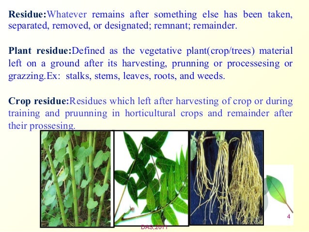 Effect of chemical compotion of plant residues on nitrogen minealaliz…