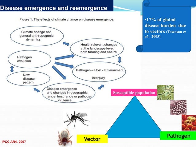 Effect of climate cange on vetor borne diseases | PPT | Geography | Science