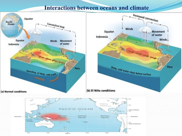 Effect of climate cange on vetor borne diseases | PPT | Geography | Science
