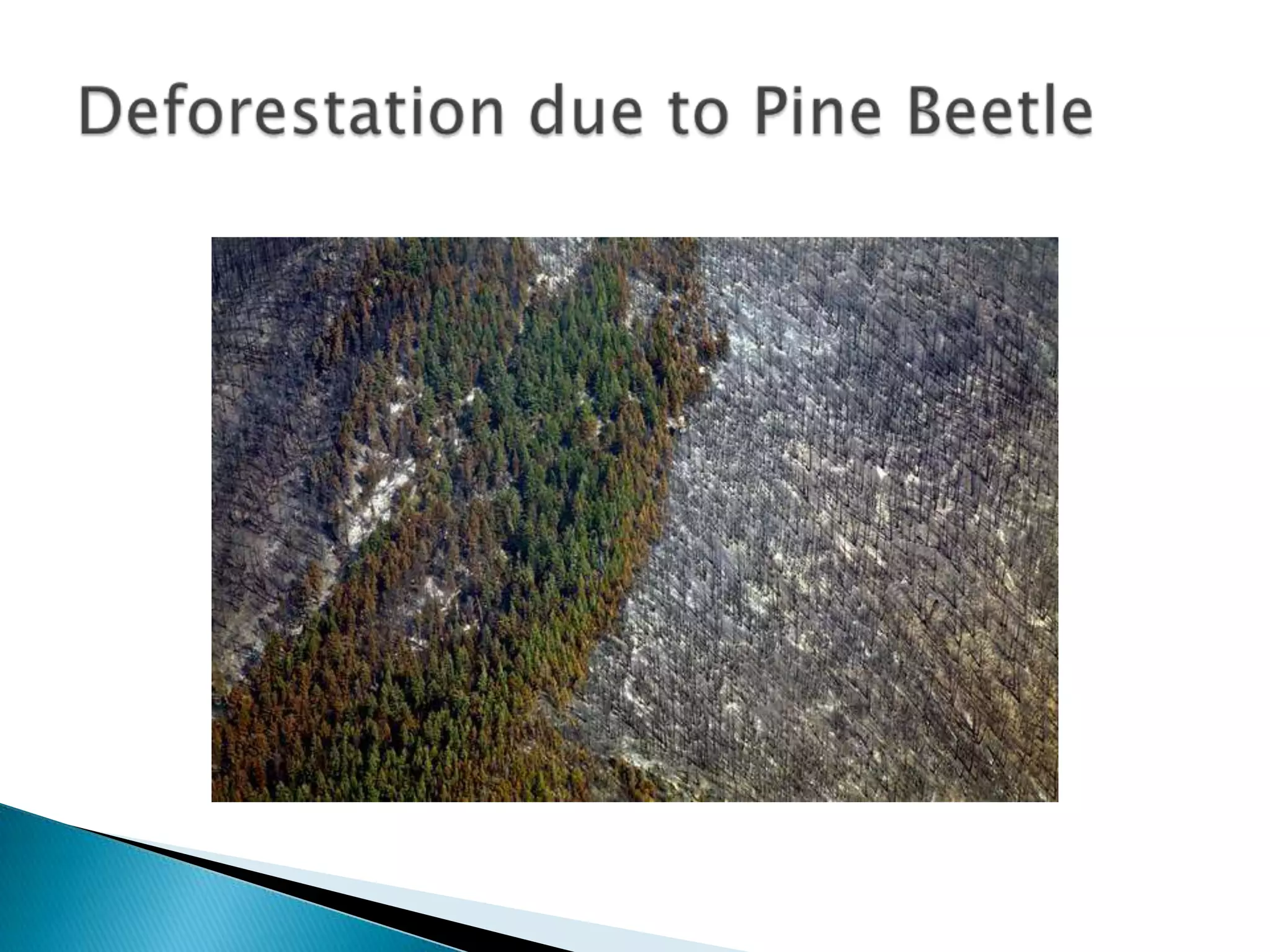 Effect of climate change on biodiversity and ecosystems | PPT