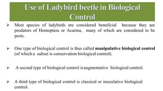 Effect of climate change on predatory lady bird beetle and their ...