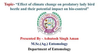 Effect of climate change on predatory lady bird beetle and their ...
