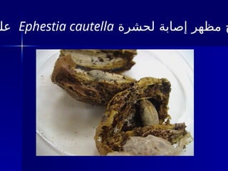 Effect of Co2 and N2 on date insects-1.ppt