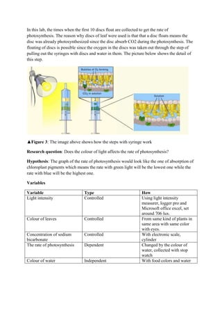 Effect of colour of light on the rate of photosynthesis | DOCX