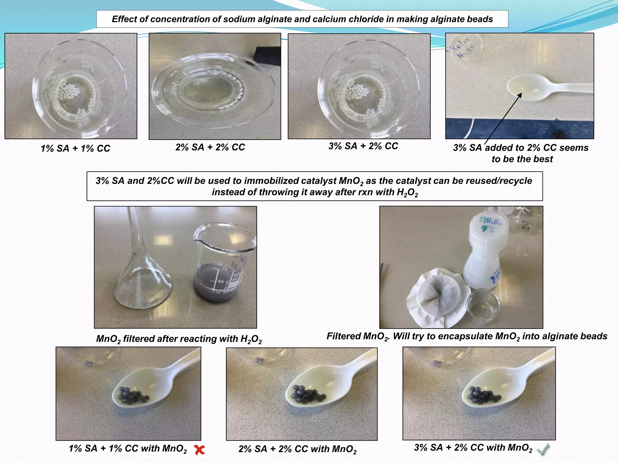 IA on effect of concentration of sodium alginate and calcium chloride ...