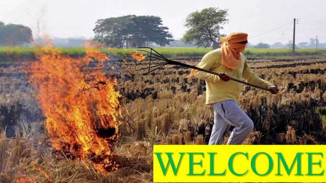 Effect of Crop Residue Management in Rice-Wheat Cropping System.pptx | Agriculture | Industries