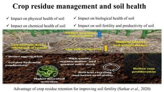 Effect of Crop Residue Management in Rice-Wheat Cropping System.pptx | Agriculture | Industries