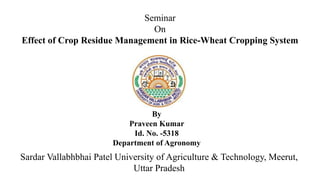 Effect of Crop Residue Management in Rice-Wheat Cropping System.pptx | Agriculture | Industries