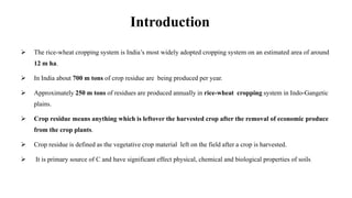 Effect of Crop Residue Management in Rice-Wheat Cropping System.pptx | Agriculture | Industries