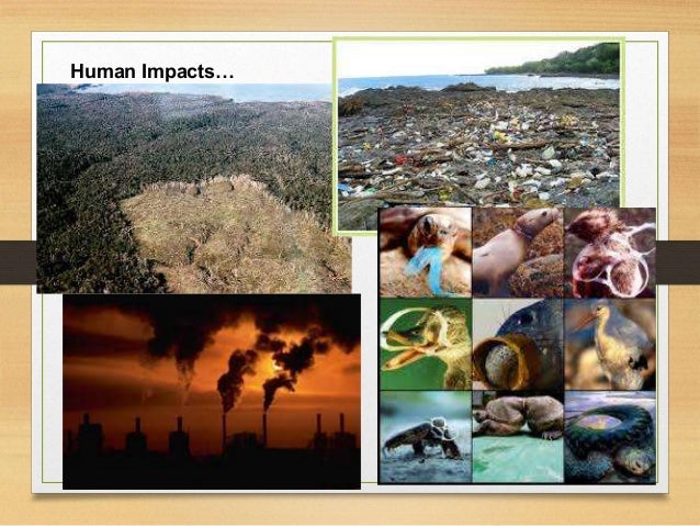 Effect of development on environment and population ecology