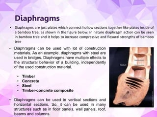 Effect of Diaphragms in Axially Loaded Timber Hollow.pptx