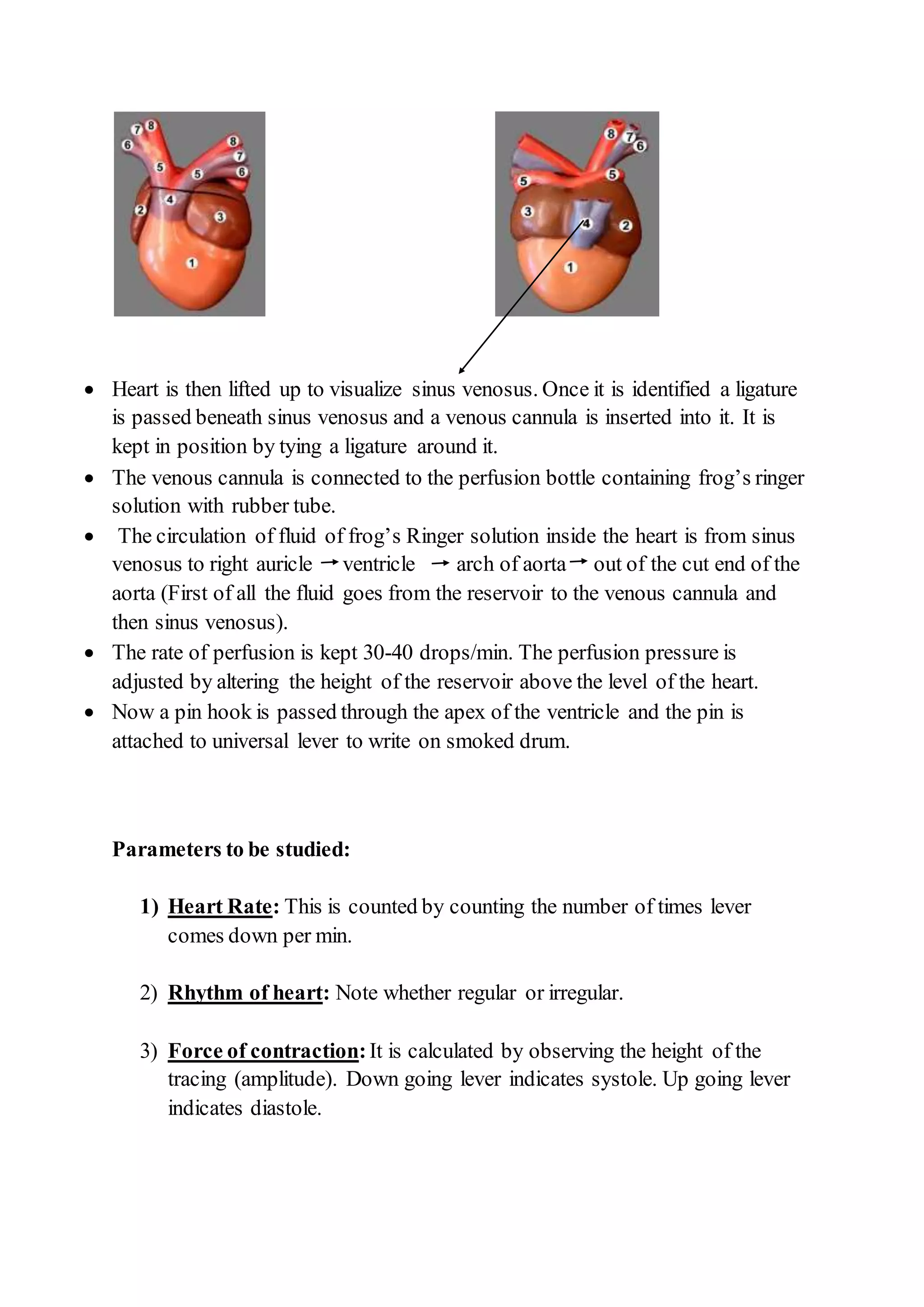 Effect of drugs on frog's heart perfusion | DOCX
