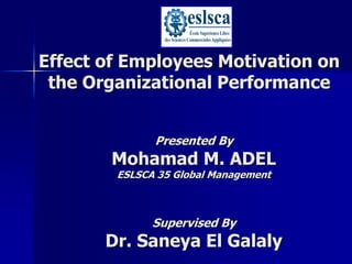 Effect Of Employees Motivation On The Organizational Performance | PPT