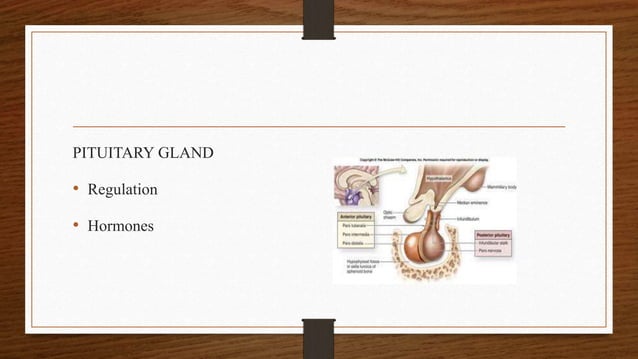 Effect of endocrine on periodontium | PPTX