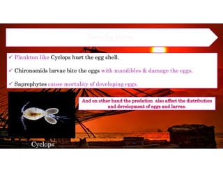 Effect of environmental factors on fish egg and larvae ppt | PDF