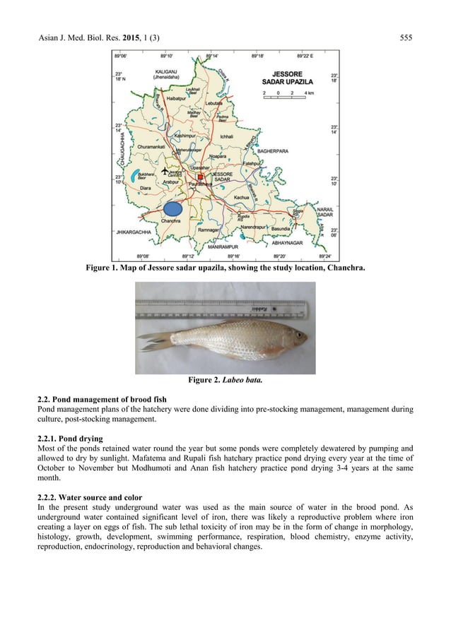 Effect of feeding management of broodstock on breeding performance of ...