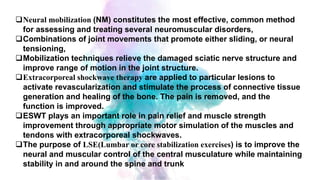 Effect of hamstring stretching and neural mobilization.pptx