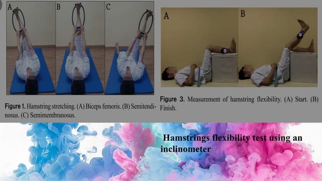 Effect Of Hamstring Stretching And Neural Mobilizationpptx