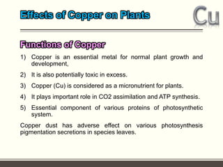 Effect of Heavy Metals on Plants | PPTX