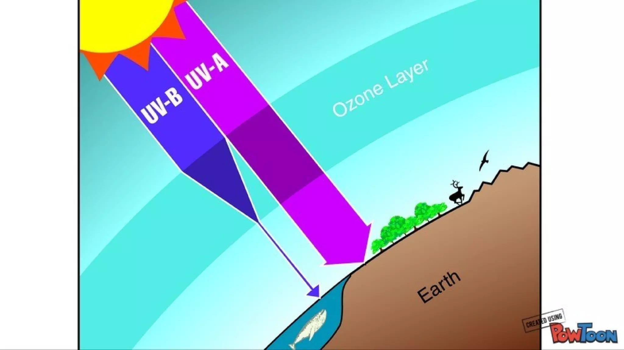 Effect of human activities in environment | PPT