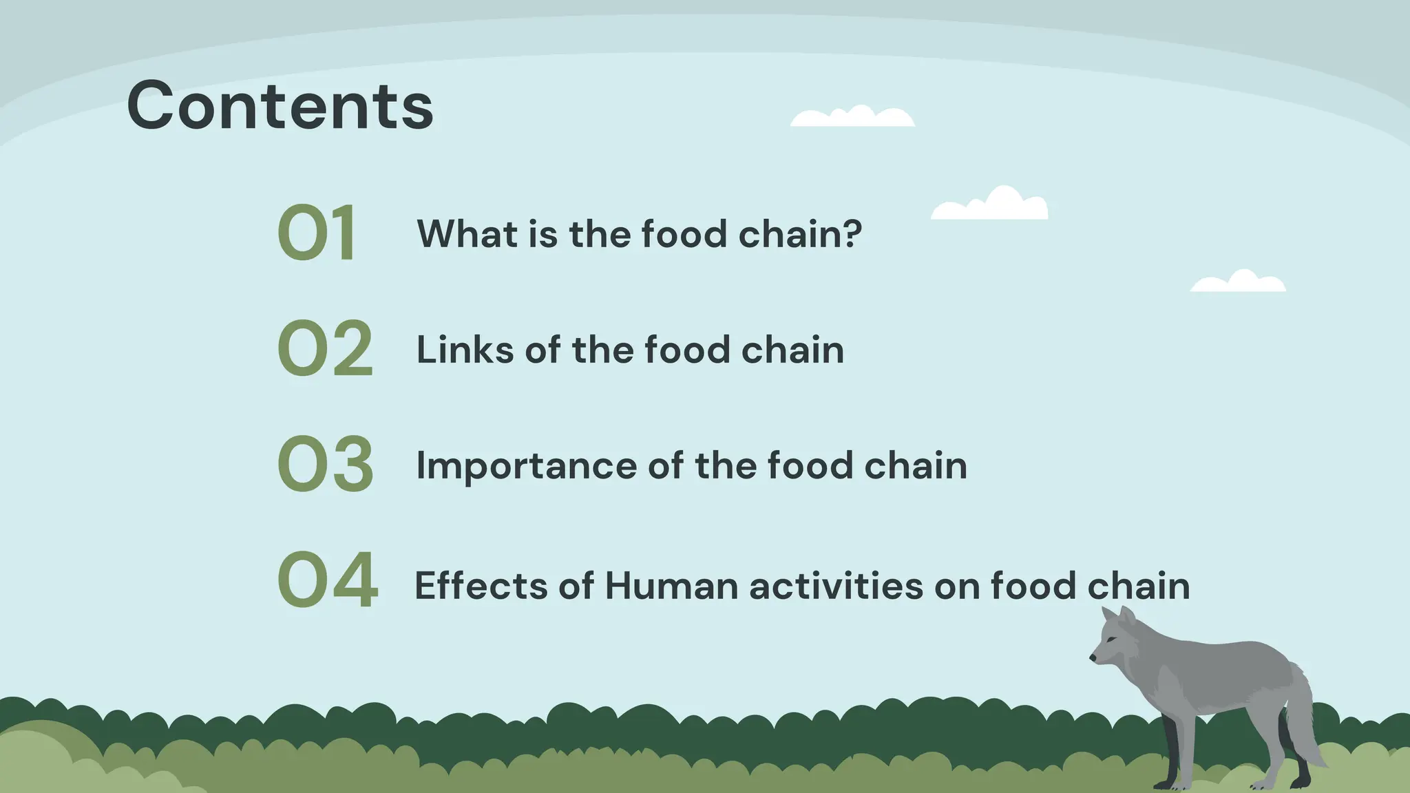 Effect of Human activities on The Food Chain by Laranya [Autosaved].pptx