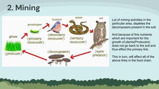 Effect of Human activities on The Food Chain by Laranya [Autosaved].pptx
