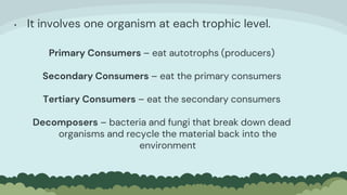 Effect of Human activities on The Food Chain by Laranya [Autosaved].pptx