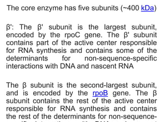 Effect of inhibitors on transcription (prokaryotes).pptx