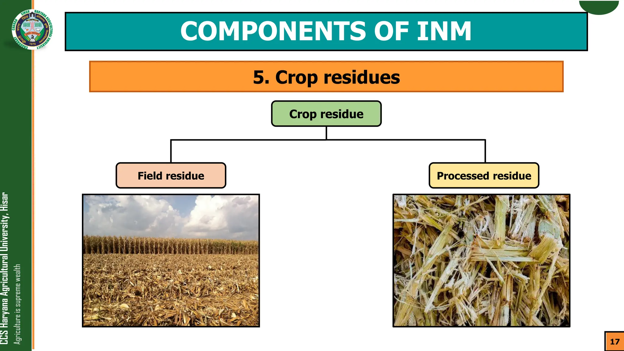 Effect of Integrated Nutrient Management on Growth and Yield of ...