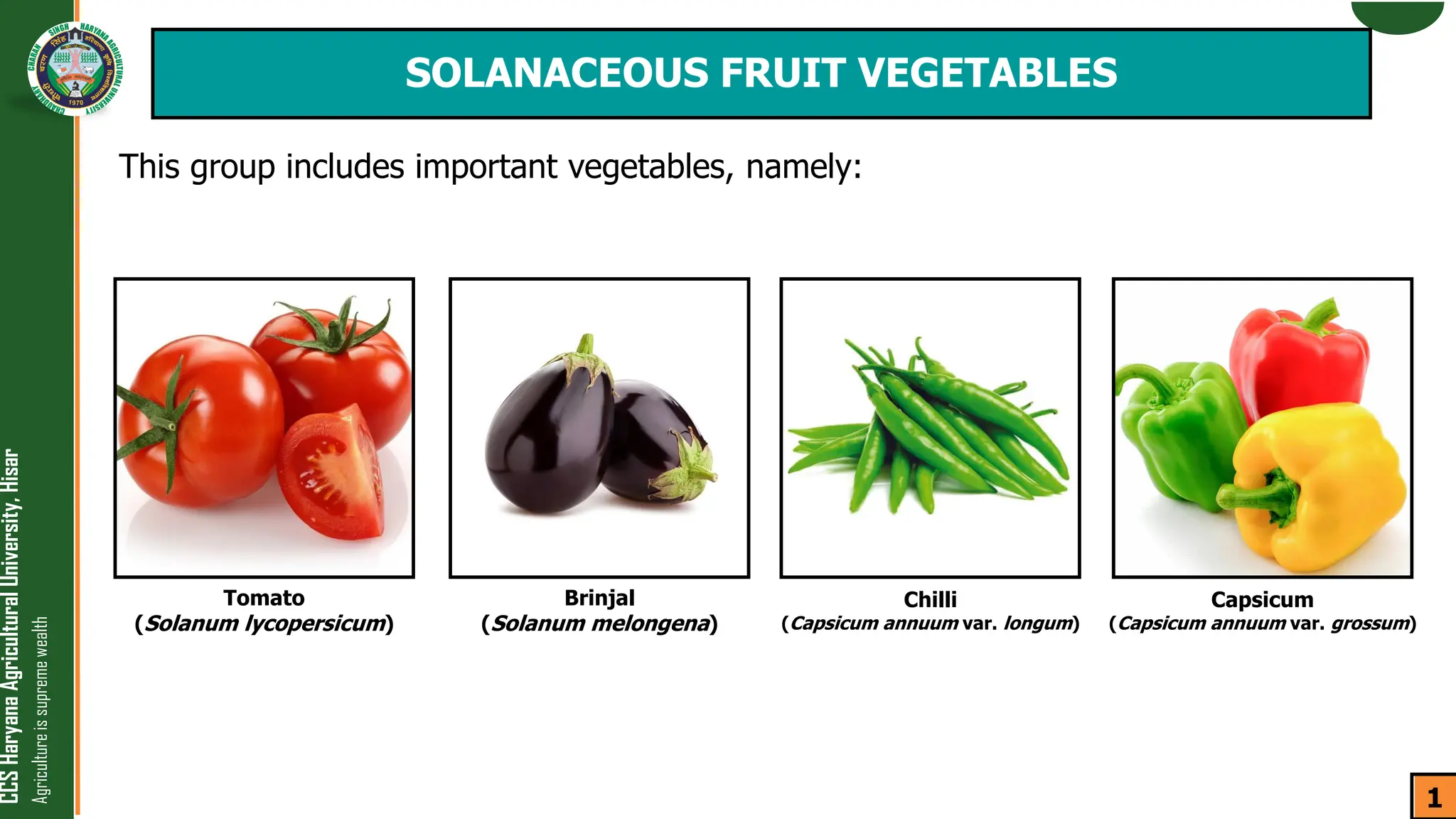 Effect of Integrated Nutrient Management on Growth and Yield of ...