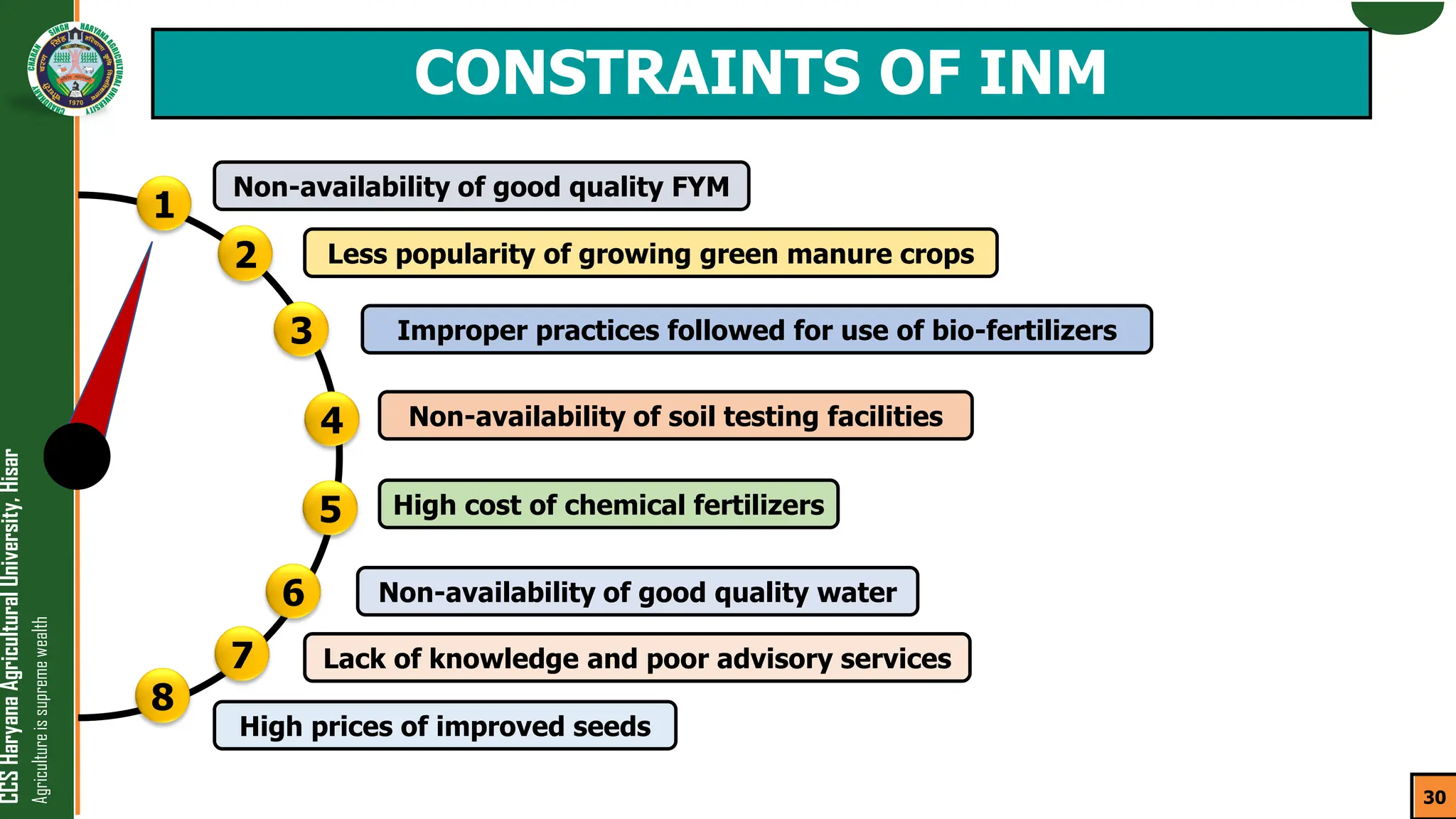 Effect of Integrated Nutrient Management on Growth and Yield of Solanaceous Fruit Vegetables.pdf